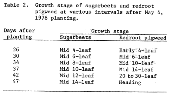 Importance of Timelines for Betanex, Betanal, and Betanex-Betanal ...